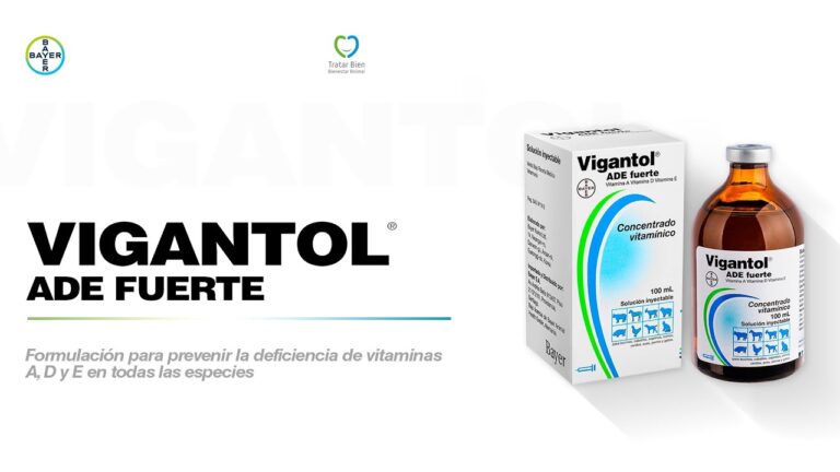 Vigantol: Como Tomar Corretamente | Actualizado octubre 2025